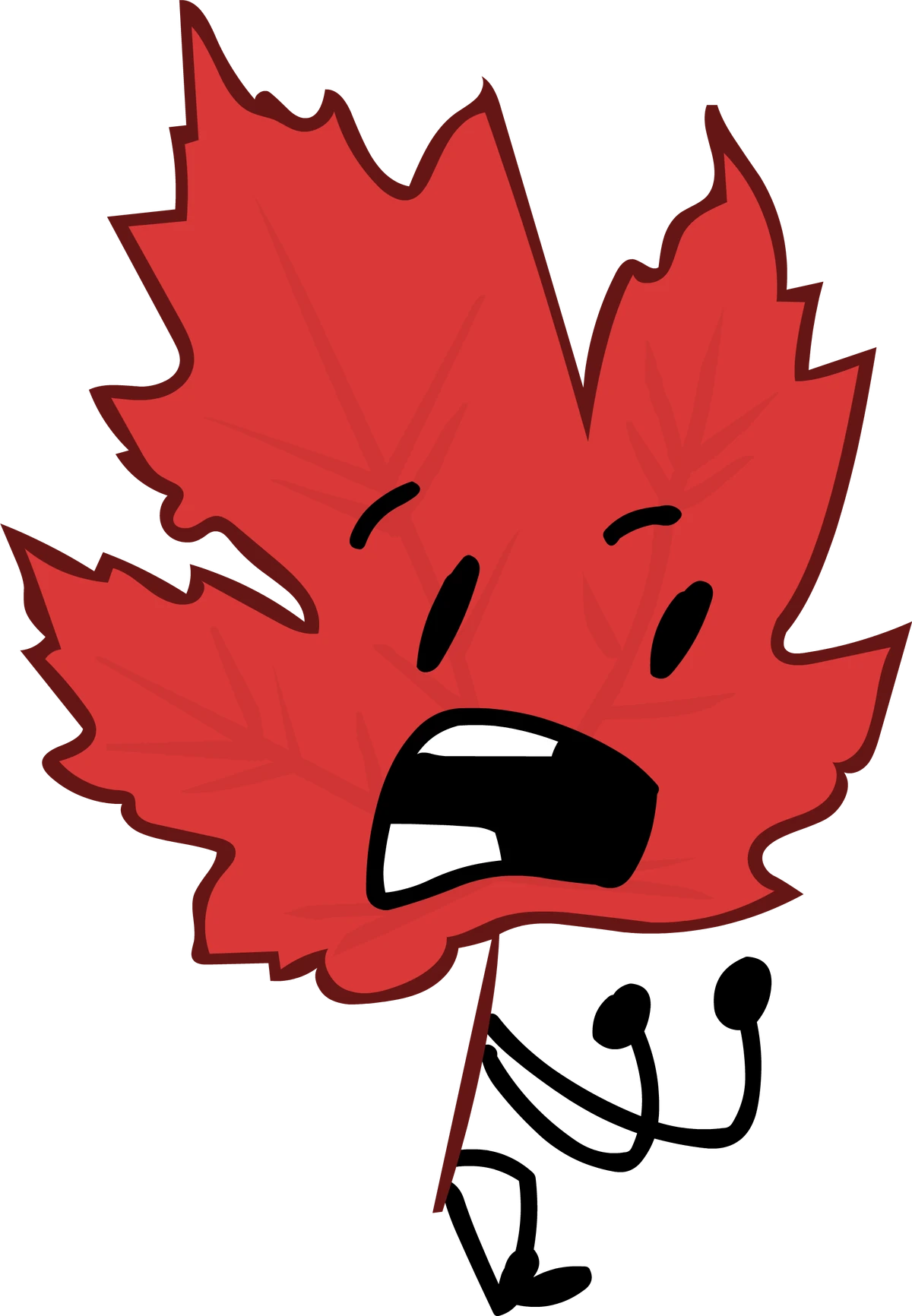 Maple Leaf | The 100 Character Object Show Wiki | Fandom