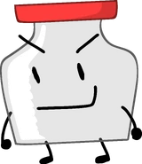 The 100 Character Object Show Wiki | Fandom