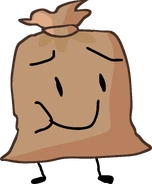 The 100 Character Object Show Wiki | Fandom