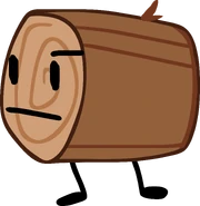 The 100 Character Object Show Wiki | Fandom