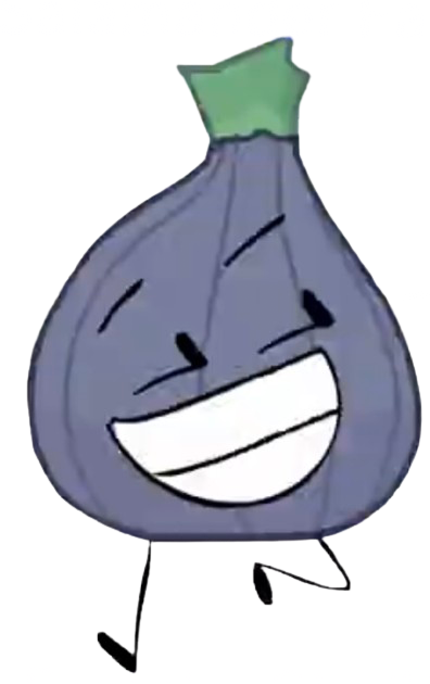 Fig The 100 Character Object Show Wiki Fandom