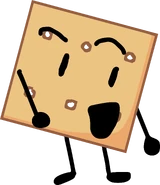 The 100 Character Object Show Wiki | Fandom