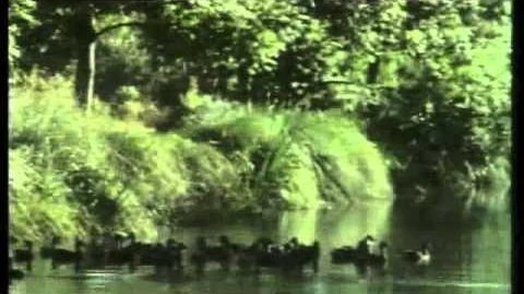 The River (1988) | The 20th Century Files Wiki | Fandom