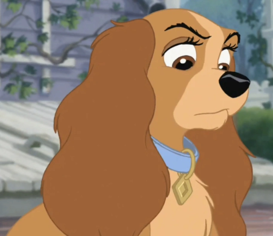 The Regular-Cocker-Spaniel Lady | The 5D-Combined-Shared Crossovers for ...