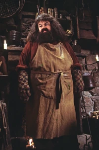 Professor Rubeus Hagrid | The 5D-Combined-Shared Crossovers for An The ...
