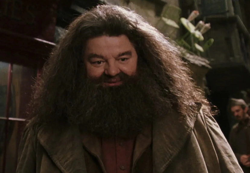 Professor Rubeus Hagrid | The 5D-Combined-Shared Crossovers for An The ...