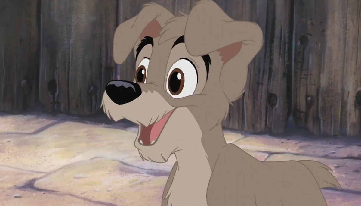 The Brownish-Gray-Mutt Scamp | The 5D-Combined-Shared Crossovers for An ...