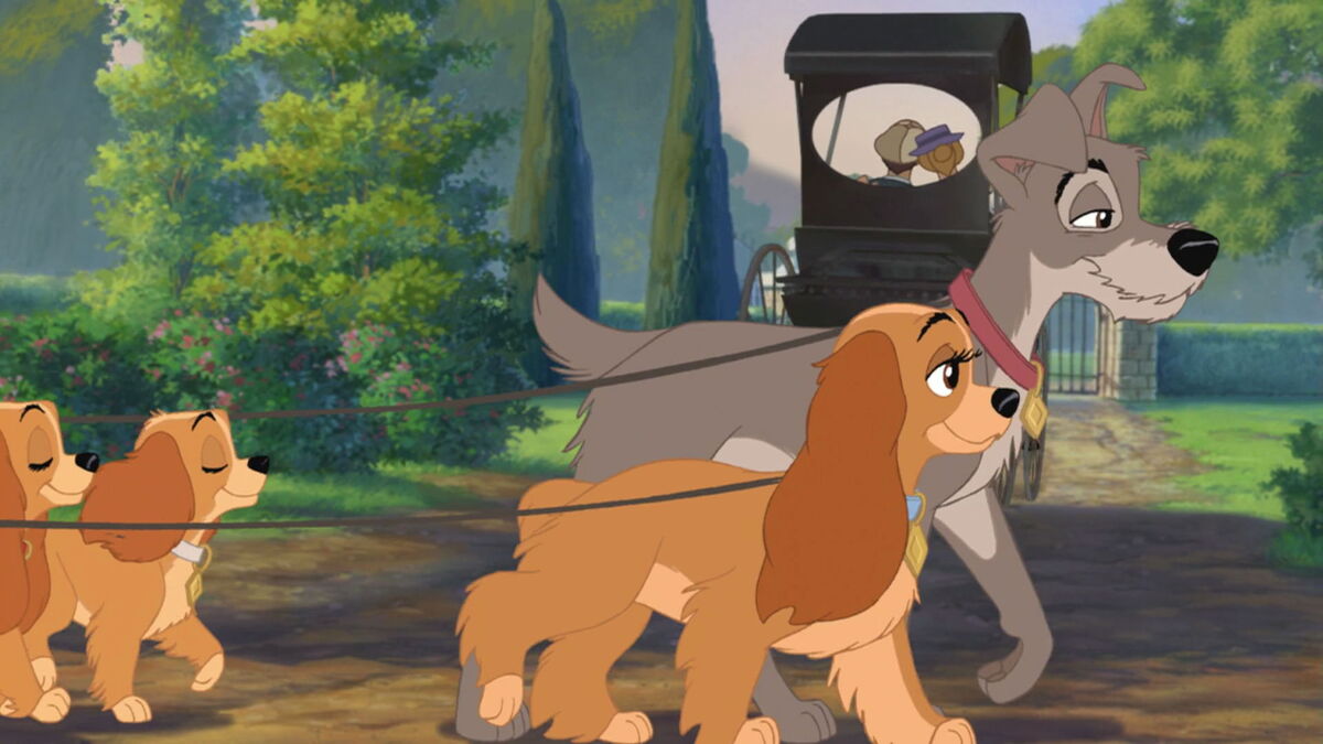 The Regular Cocker Spaniel Ladygalleryanimation Screencaps The 5d