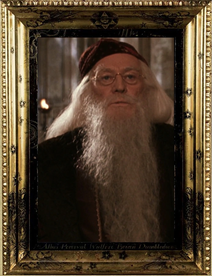 Professor Albus-Percival•Wulfric•Brian-Dumbledore's Portrait | The 5D ...