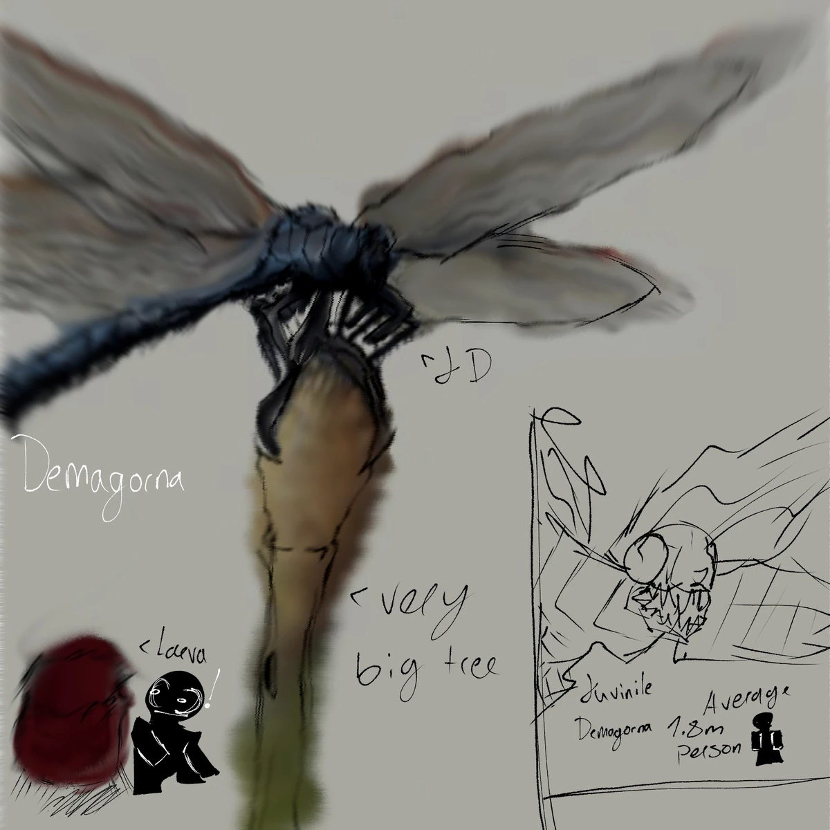 Demagorna (species) | The ABER Wiki | Fandom