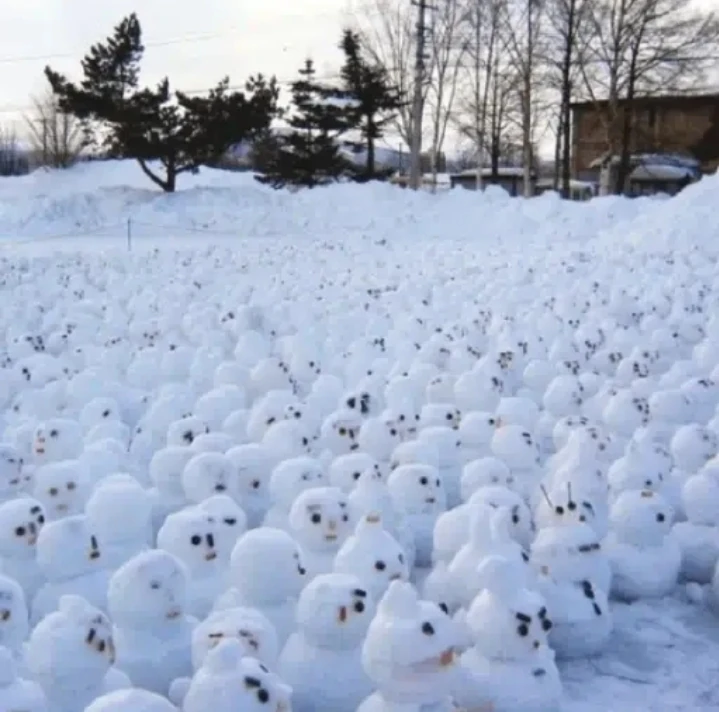 Snow Citizens | The ABER Wiki | Fandom