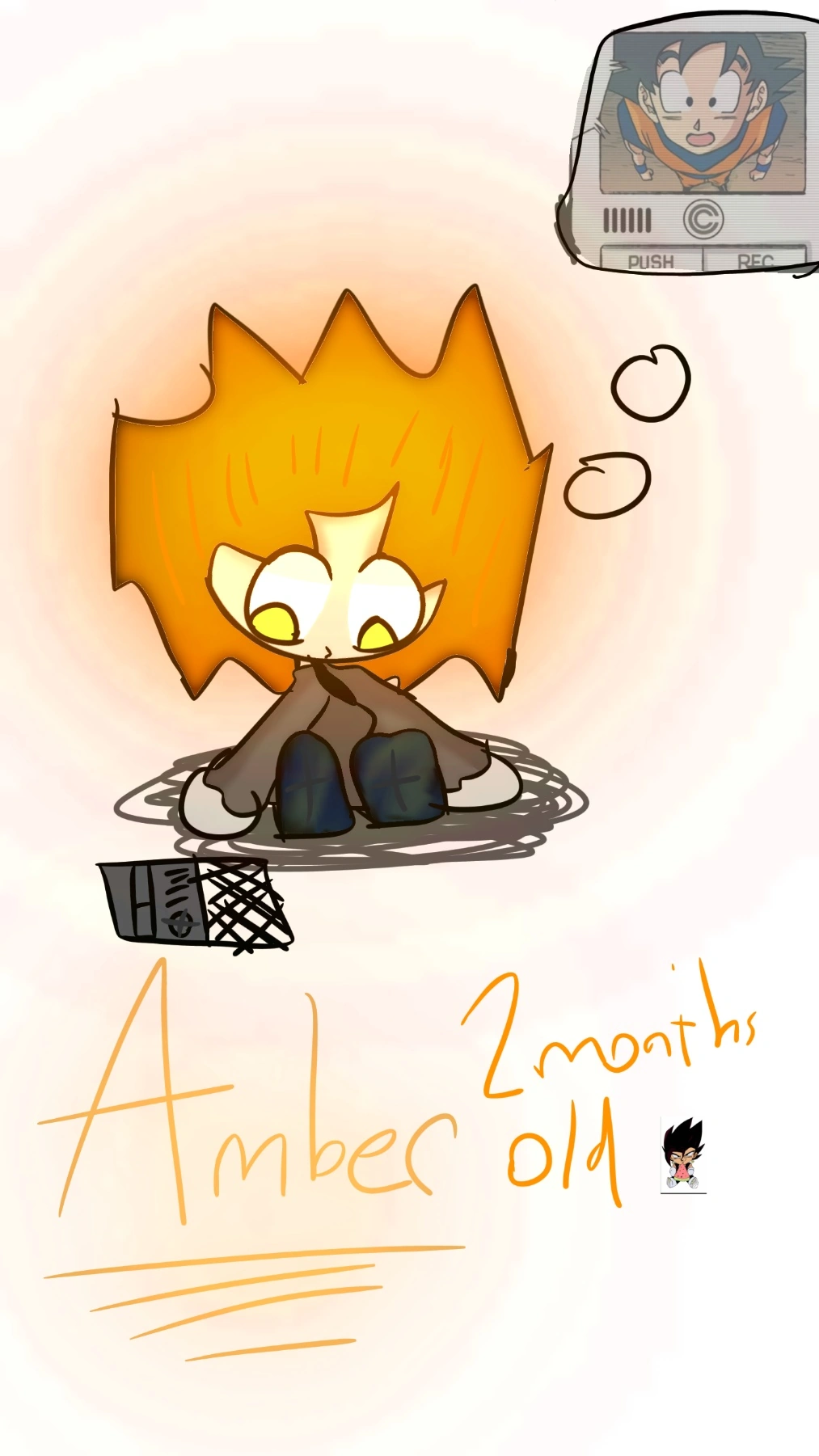 Amber | The ABER Wiki | Fandom