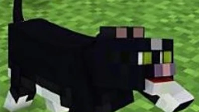 Discuss Everything About The AccidentaI Minecraft Family Wiki | Fandom