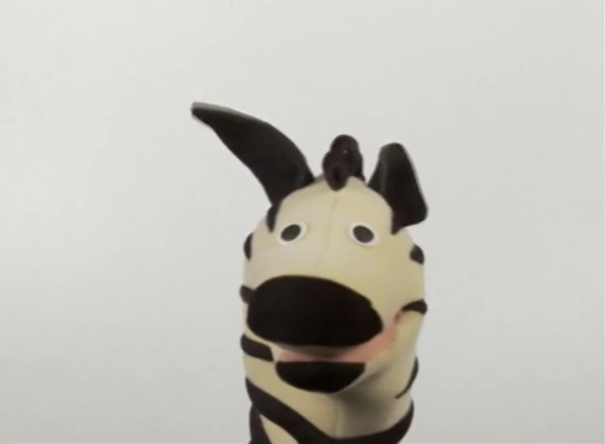 Zen the Zebra | The Accurate Baby Einstein Wiki | Fandom