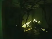 Entity 55: The Howler | The Actual Backrooms Wiki | Fandom