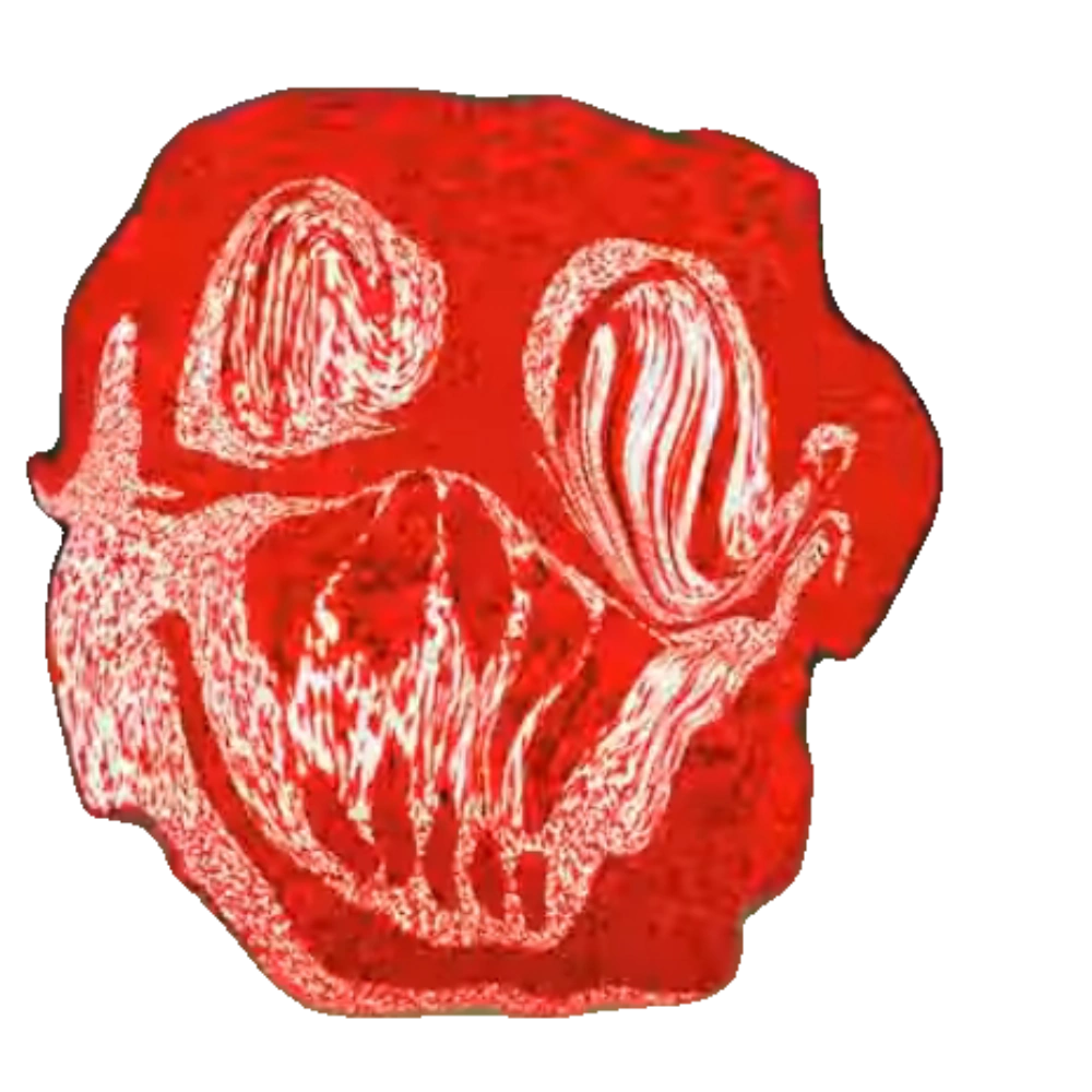 ZD-200 | The actual Rooms of insanity Wiki | Fandom