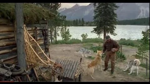 Fur Trapper | The Adepts Wiki | Fandom