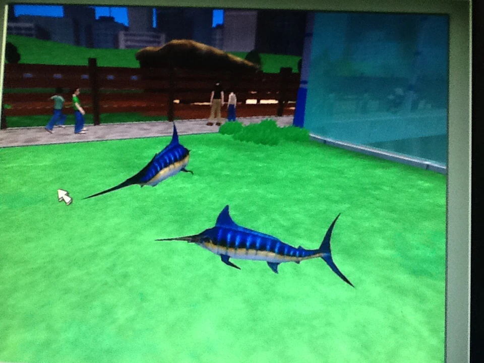 Save the marlin | The adventure of wonder pets Wikia | Fandom