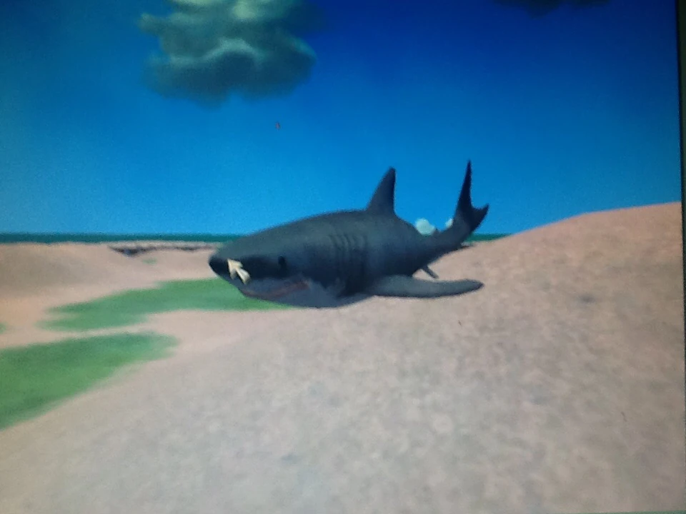 Save the shark | The adventure of wonder pets Wikia | Fandom