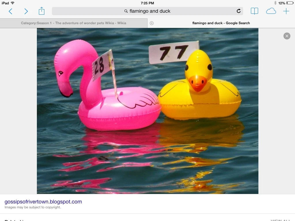 Save the flamingo and duck | The adventure of wonder pets Wikia | Fandom