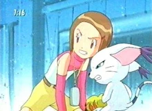 Gatomon | The Adventures of Kari & Friends Wiki | Fandom