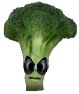 Broccoli Overlord | The Adventures of Ra1nb0wK1tty and her allies Wiki ...