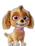 Skye | The Adventures Of Shaun The Sheep And Daniel Tiger Wiki | Fandom