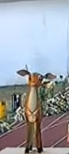 Mishuk | The Adventures of the Gladiators of Cybertron Wiki | Fandom