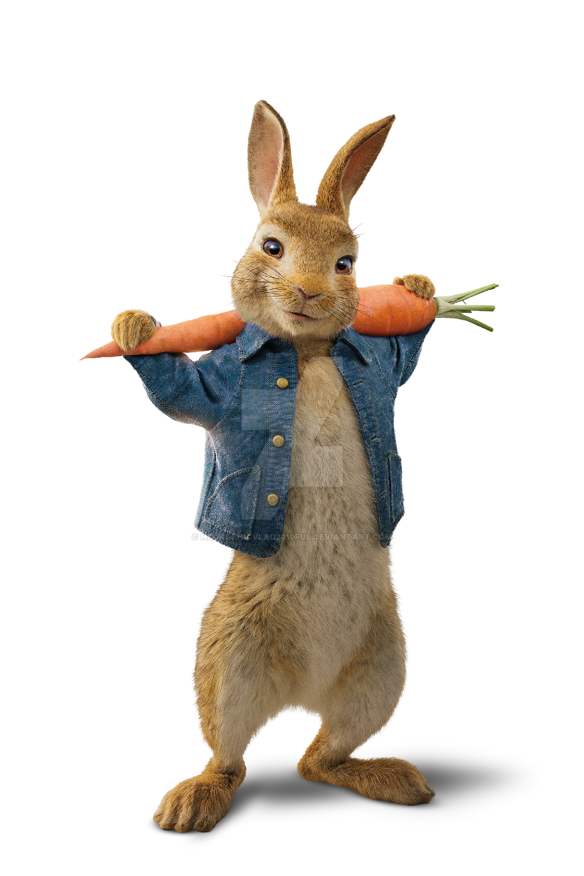 Peter Rabbit | The Adventures of the Gladiators of Cybertron Wiki | Fandom