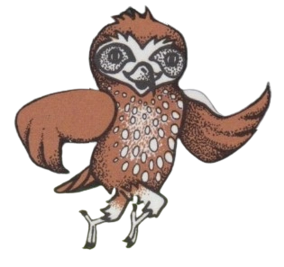 Noro the Owl | The Adventures of the Gladiators of Cybertron Wiki | Fandom