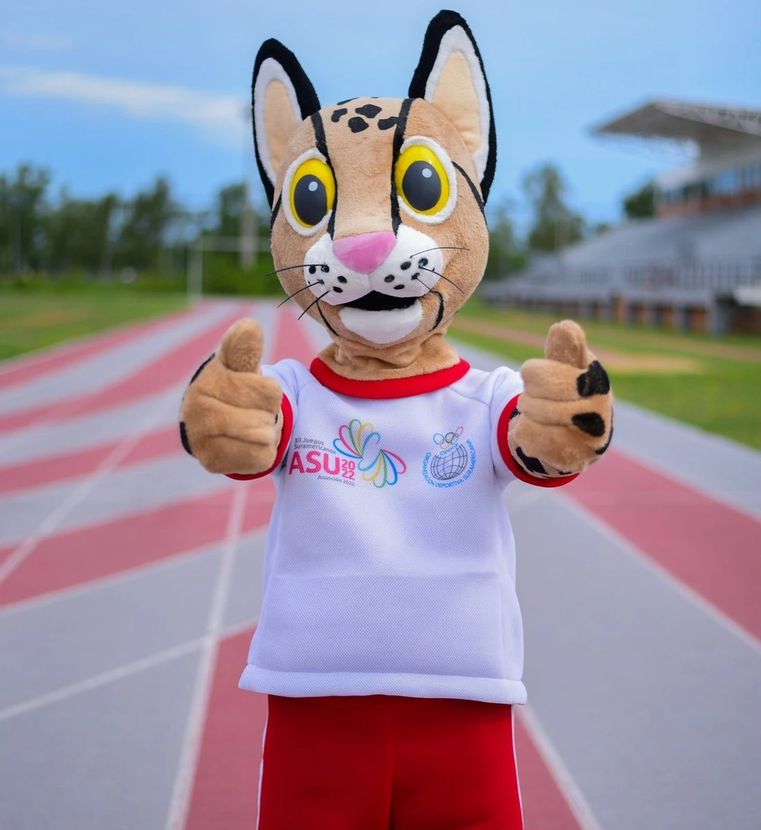 Tirika | The Adventures of the Gladiators of Cybertron Wiki | Fandom