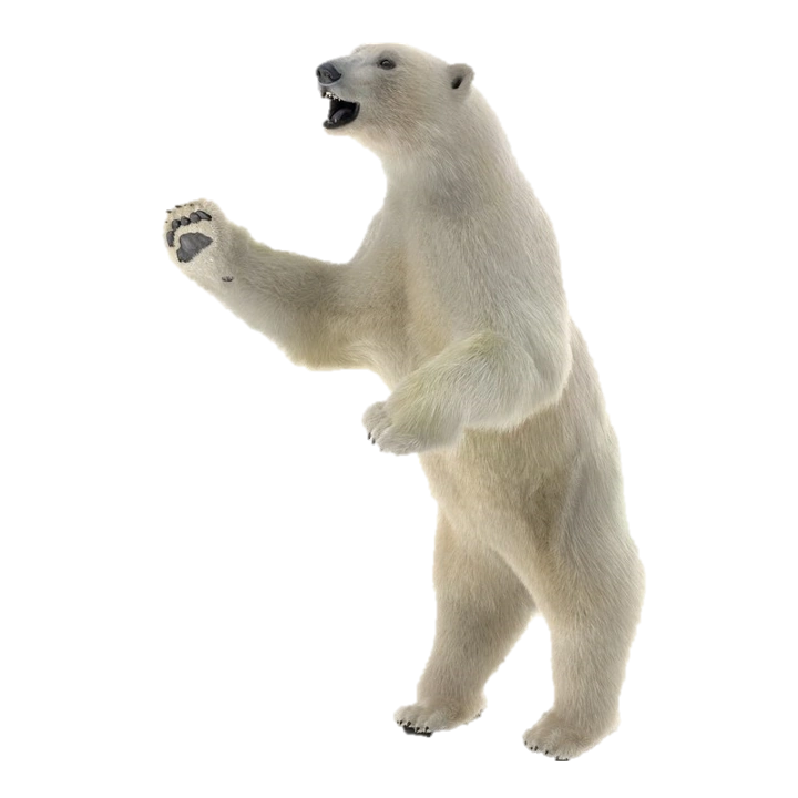 King Valemon | The Adventures of the Gladiators of Cybertron Wiki | Fandom