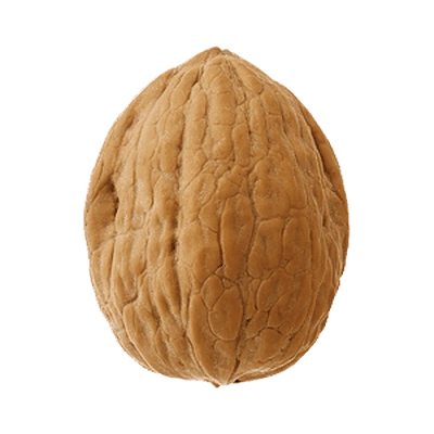 Nut | The Adventures of the Gladiators of Cybertron Wiki | Fandom