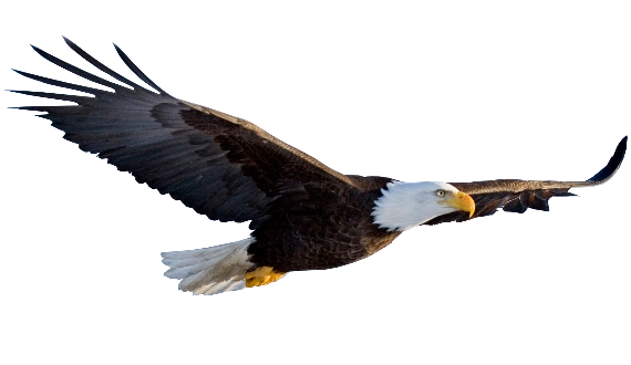 Thiazi | The Adventures of the Gladiators of Cybertron Wiki | Fandom