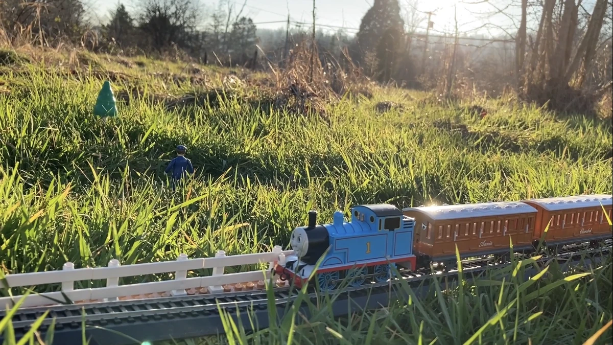 Thomas & The Old Oak Tree | The Adventures Of Thomas & Friends Wiki ...