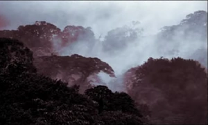 Secret Level - "The Crimson Forest" | The Afonsy Database Wiki | Fandom