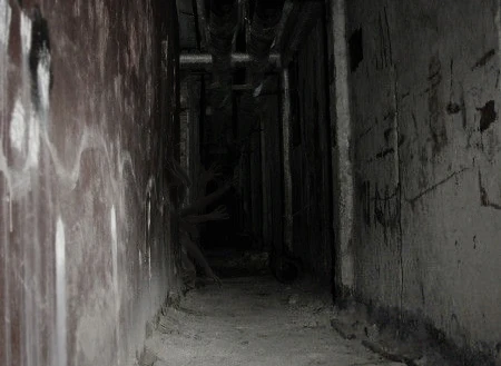 Entity 005 - "Clumps" | The Afonsy Database Wiki | Fandom