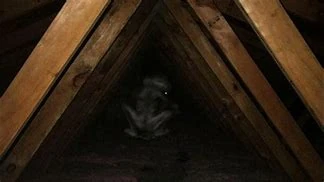 Entity 007 - The Crawlspace Creature | The Afonsy Database Wiki | Fandom