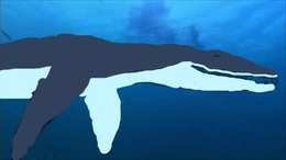 Liopleurodon | The Age of Trilogy Wiki | Fandom