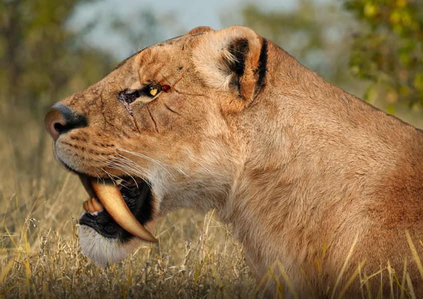 Smilodon The Age Of Trilogy Wiki Fandom