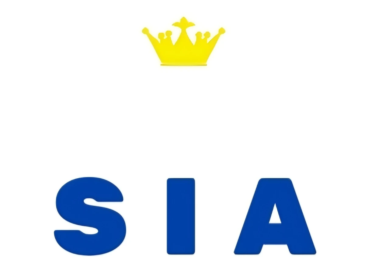 Southern Irish Air (SIA) | The Airline Simulator Wiki | Fandom