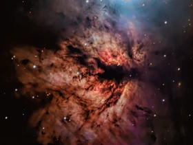 The Nebula Creatures | The Alexverse Show Wiki | Fandom