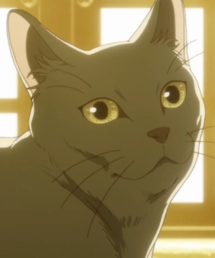 Tim | Wiki The Ancient Magus Bride | Fandom