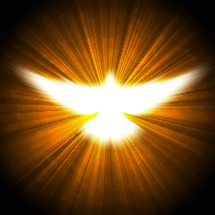 Angels | The Angelic and Demonic Lords Wiki | Fandom