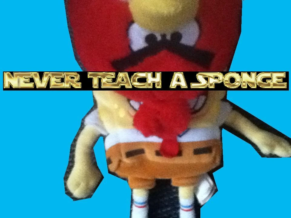 Never Teach a Sponge | The Angry Birds Plushtastic Wiki | Fandom