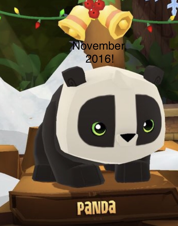 Pandas | The Animal Jam Play Wild Update Wiki | Fandom