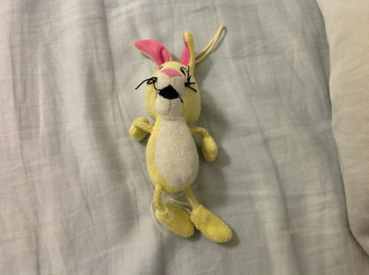 Rabbit | The animalgame Wikia | Fandom