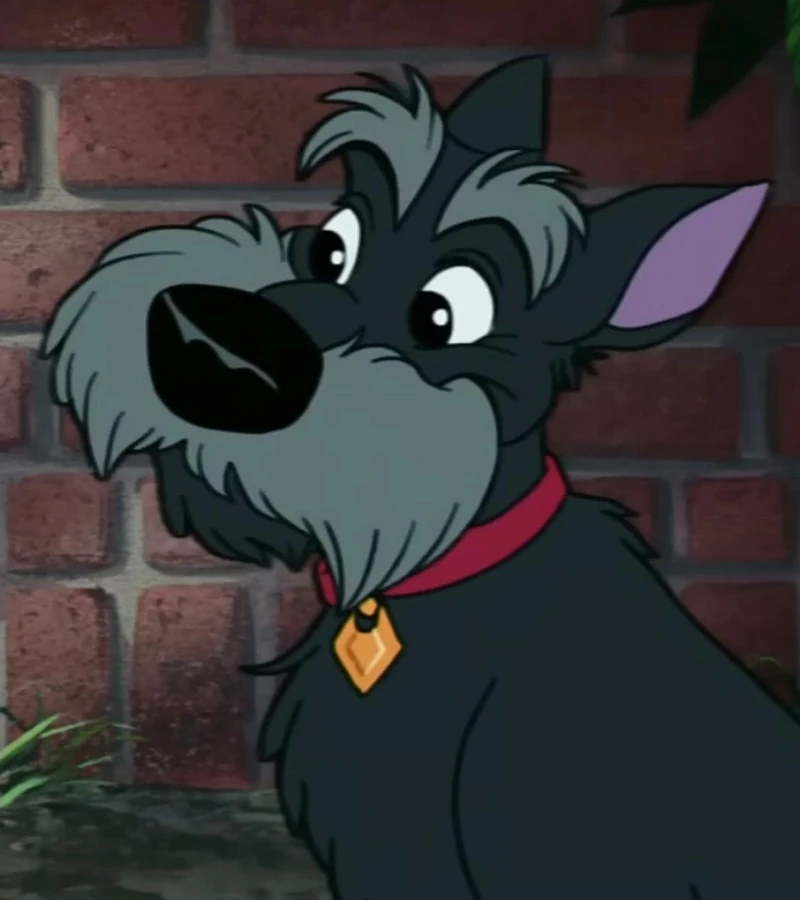 Jock | The Animated Multicrossover Wiki | Fandom