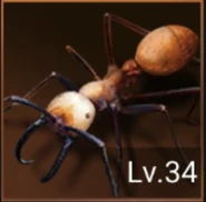New World General | The Ants: Underground Kingdom Wiki | Fandom