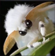 The Ants/Godzilla Collaboration | The Ants: Underground Kingdom Wiki ...